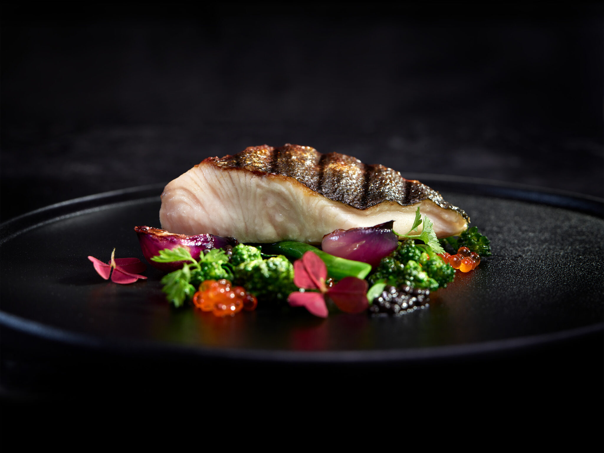 Nordic Kingfish: World-class sustainable Yellowtail Kingfish